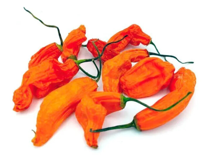 Chiles Aji Amarillo Chili - Cultivo, Scoville y uso