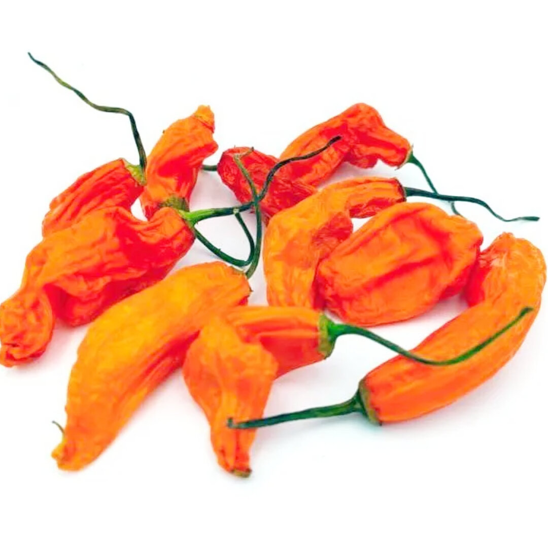 Aji Amarillo - 10 Semillas de chile | Chili-Plants.com Shop